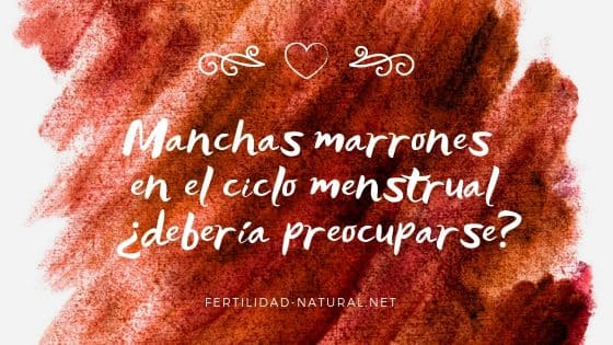 Manchas marrones en el ciclo menstrual: ¿debería preocuparse ...